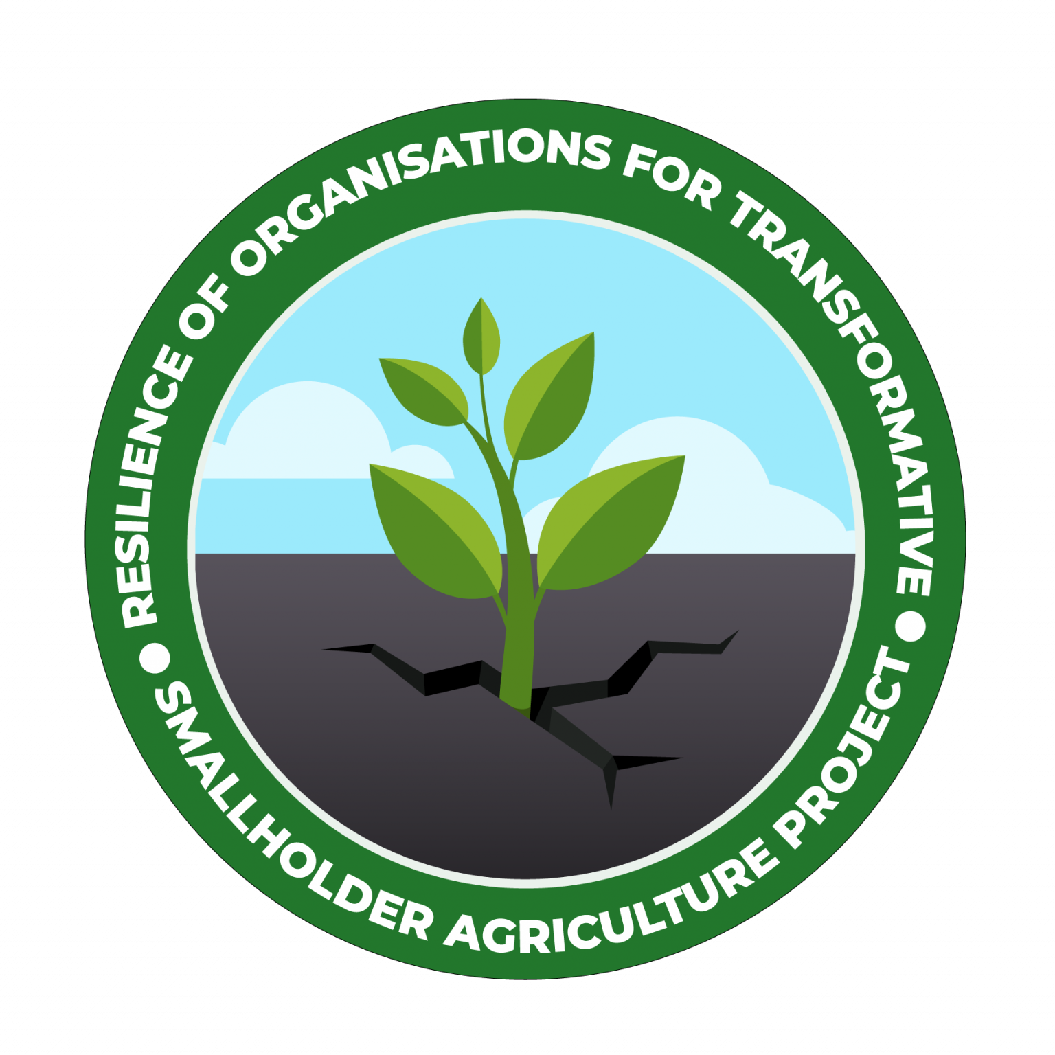 About ROOTS - Resilience of Organizations for Transformative ...