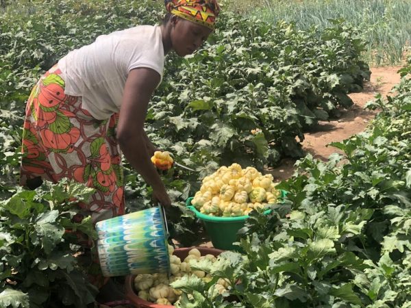 About ROOTS - Resilience of Organizations for Transformative ...