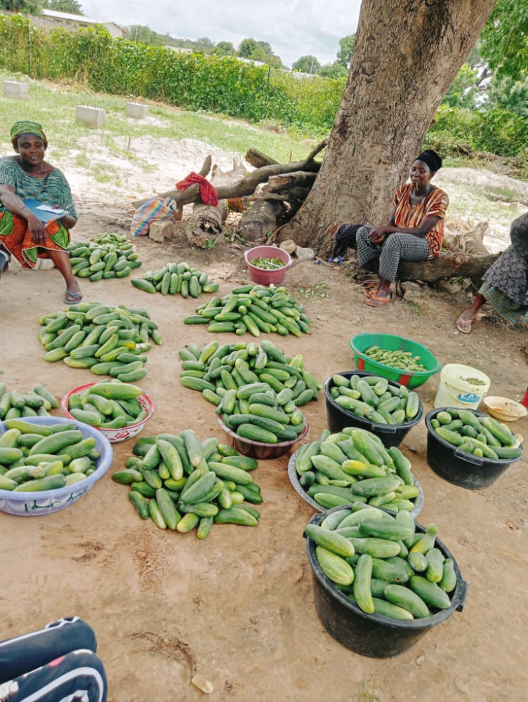 ROOTS in strengthening the gains of NEMA is completing six women's ...