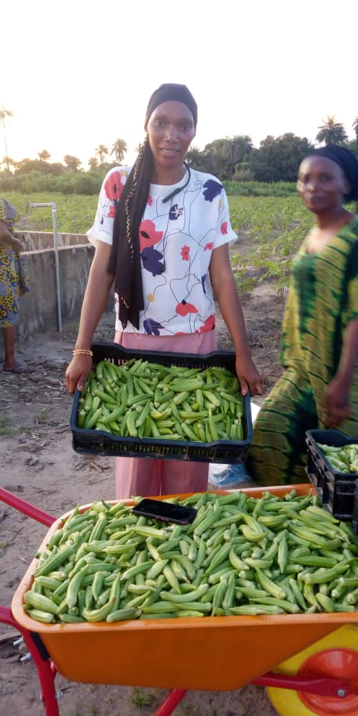 ROOTS in strengthening the gains of NEMA is completing six women's ...