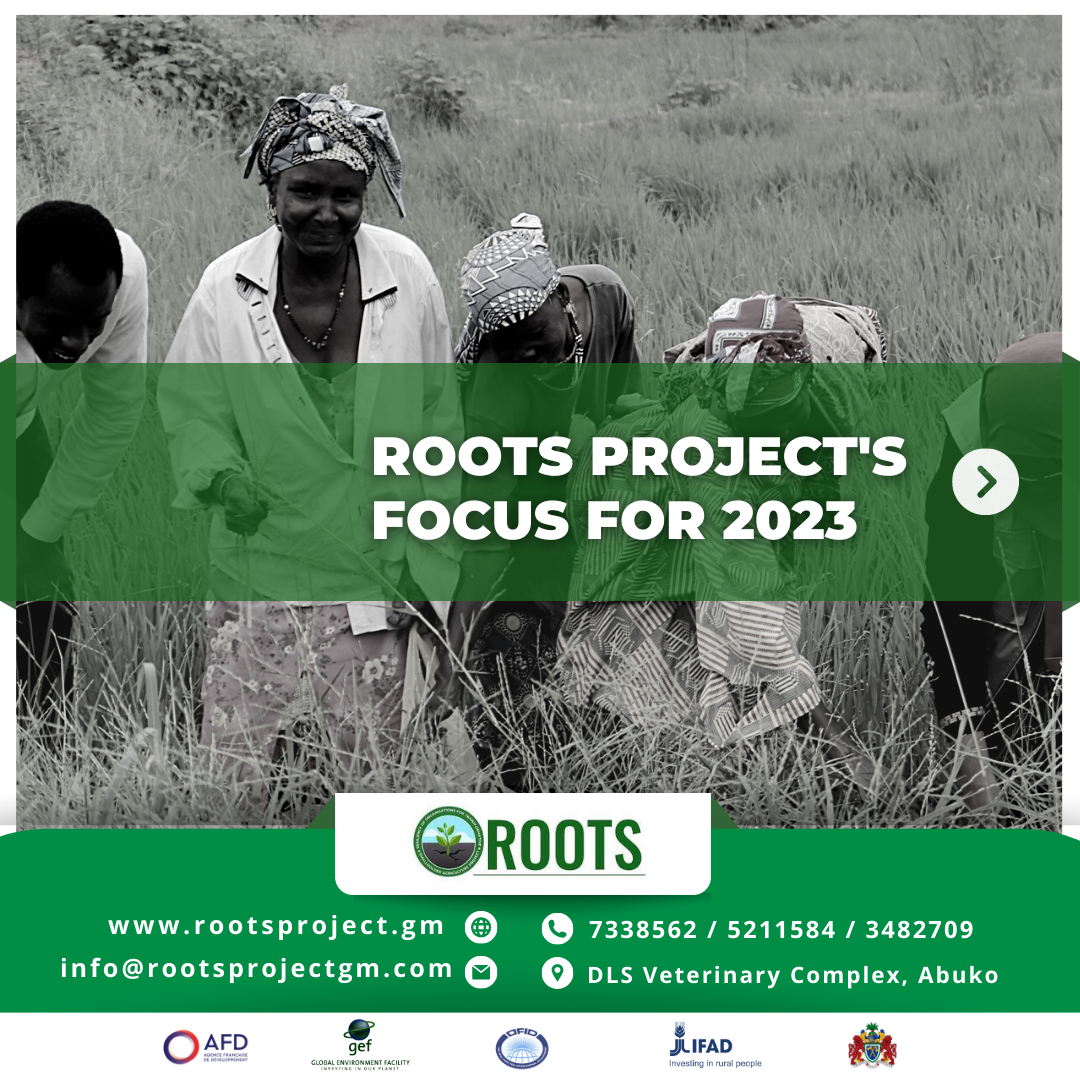 ROOTS PROJECT Focus 2023 - Resilience of Organizations for ...