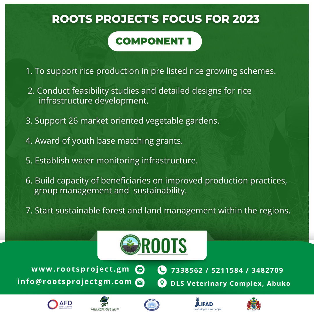 ROOTS PROJECT Focus 2023 - Resilience of Organizations for ...