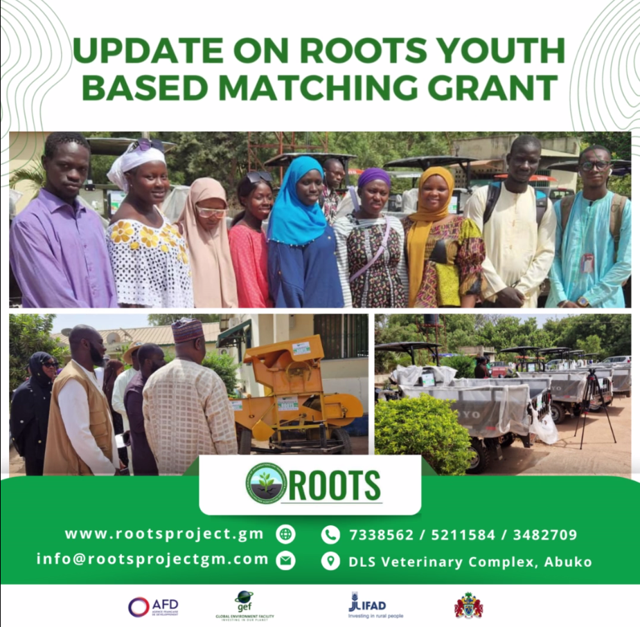 Update on ROOTS Youth-Based Matching Grant: Empowering Young Entrepreneurs - Resilience of ...