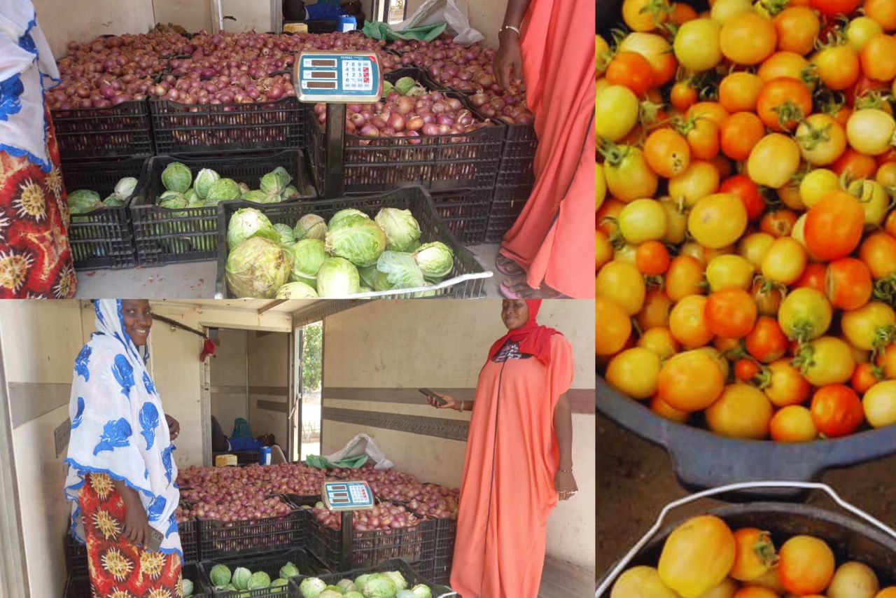 Top Agricultural Projects in The Gambia - Resilience of Organizations ...