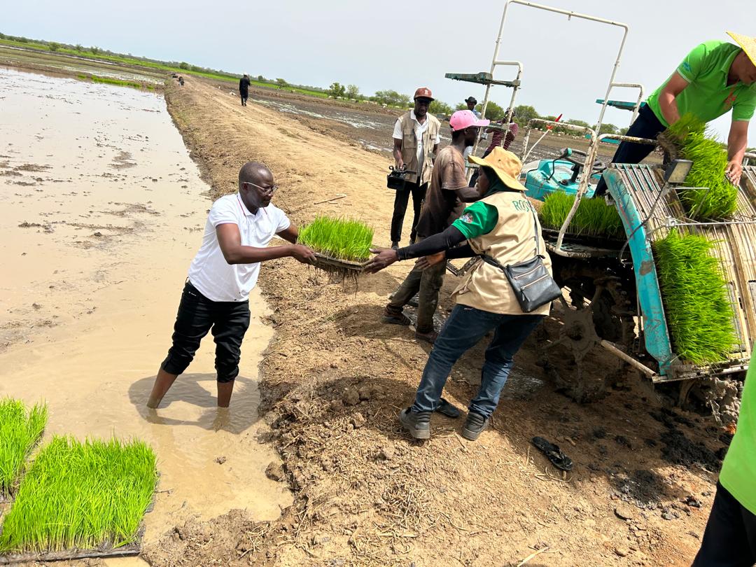 Minister's Team Visits Jahally Pacharr: Advancing Rice Self-Sufficiency - Resilience of ...